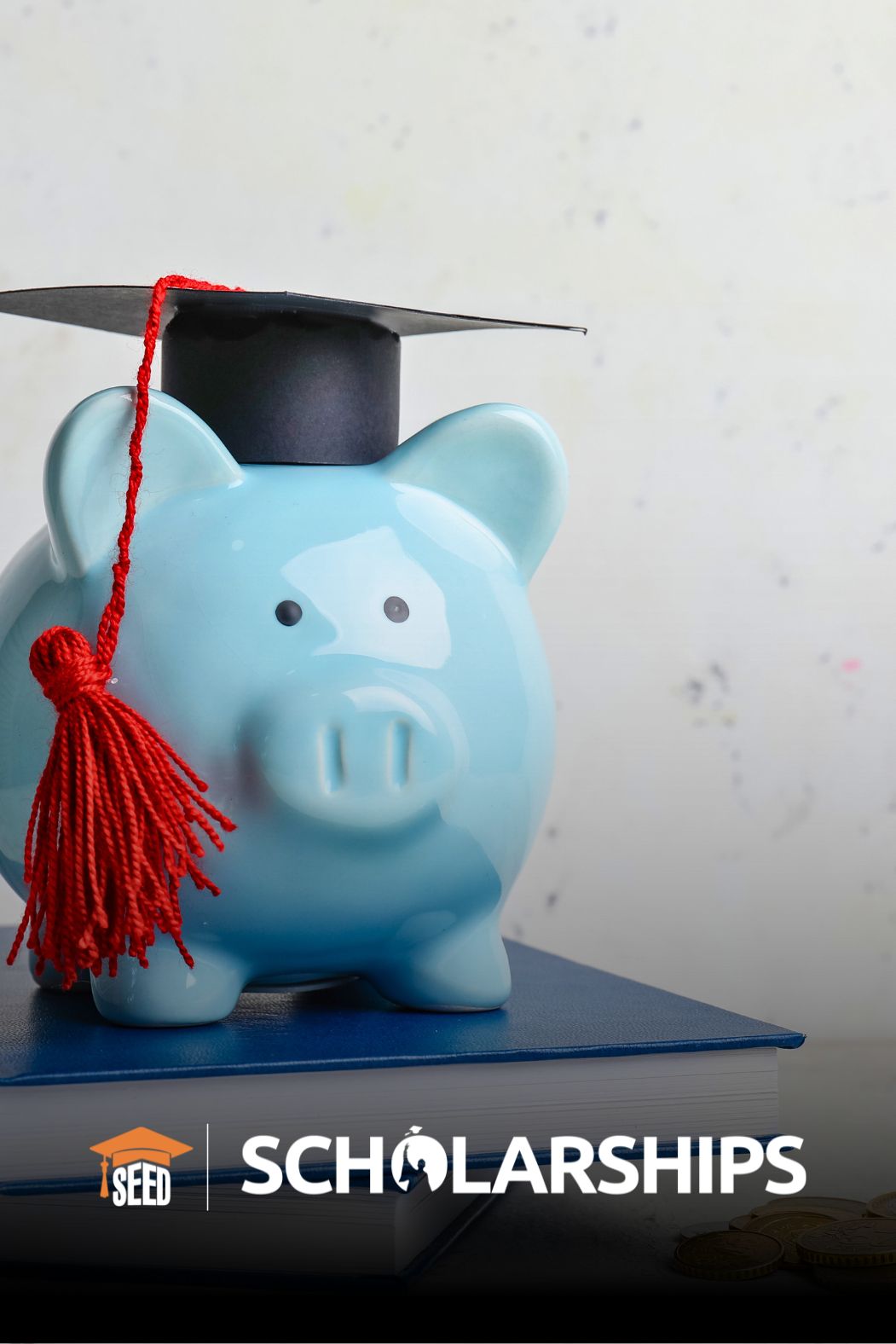 SEED Global Education